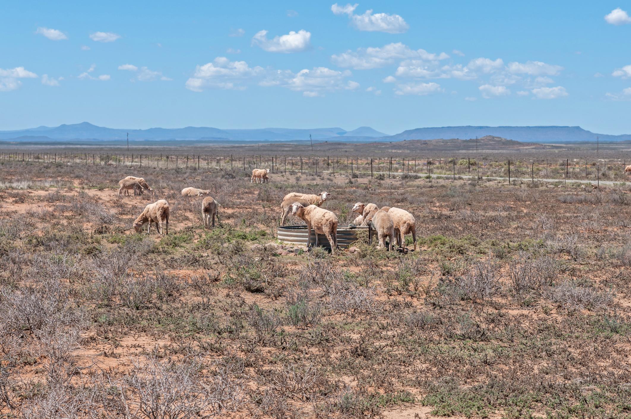 TOEFL® Vocabulary Exercise 45 | BestMyTest